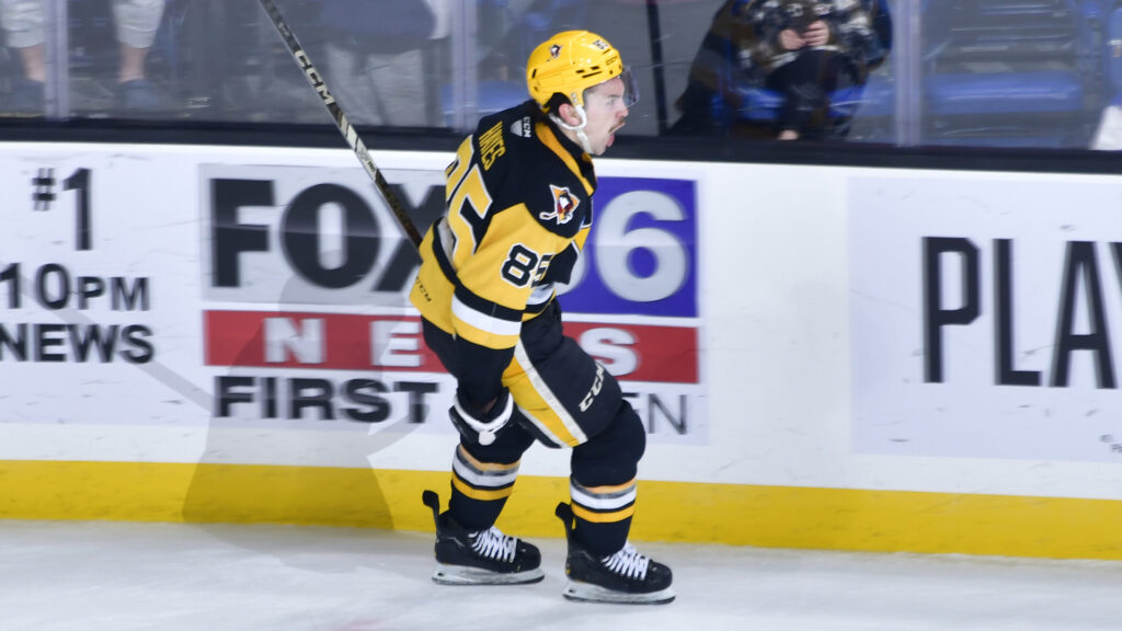 OVERTIME WIN CLINCHES PLAYOFF SPOT FOR PENGUINS | WBS Penguins