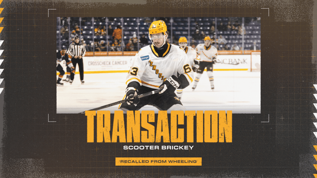 PENGUINS RECALL SCOOTER BRICKEY FROM NAILERS | WBS Penguins