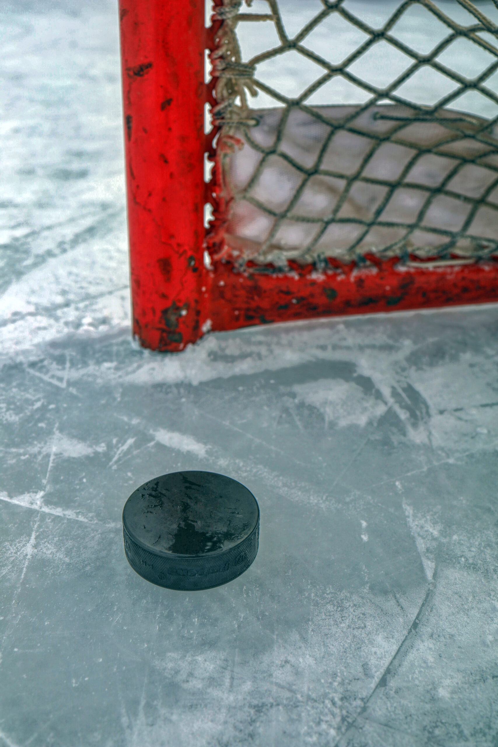 How Analytics Shape the WBS Penguins’ Game Plan | WBS Penguins