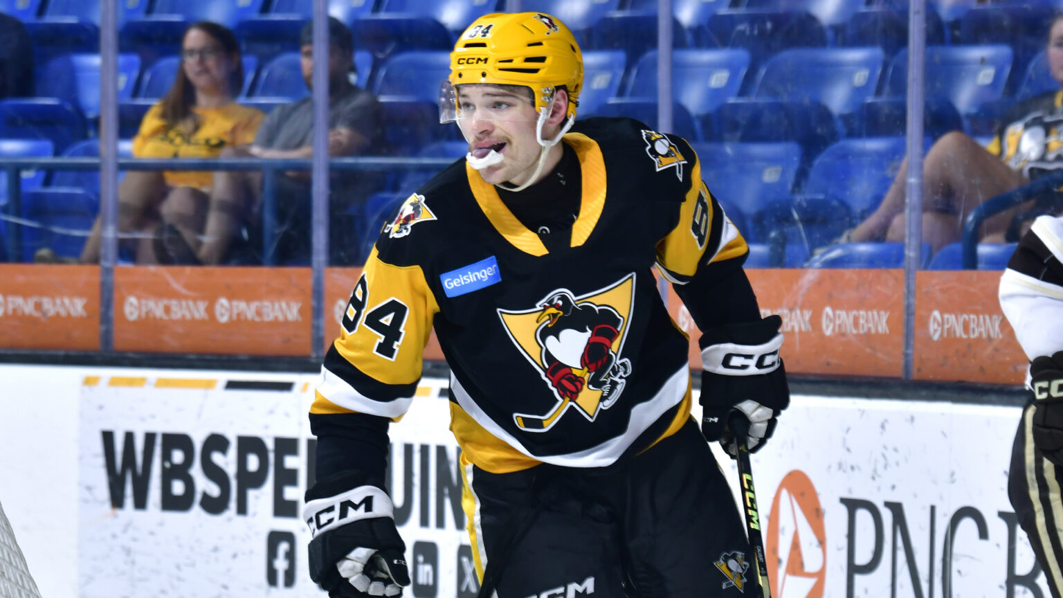 PENGUINS BEATEN BY BEARS, 5-1 | WBS Penguins